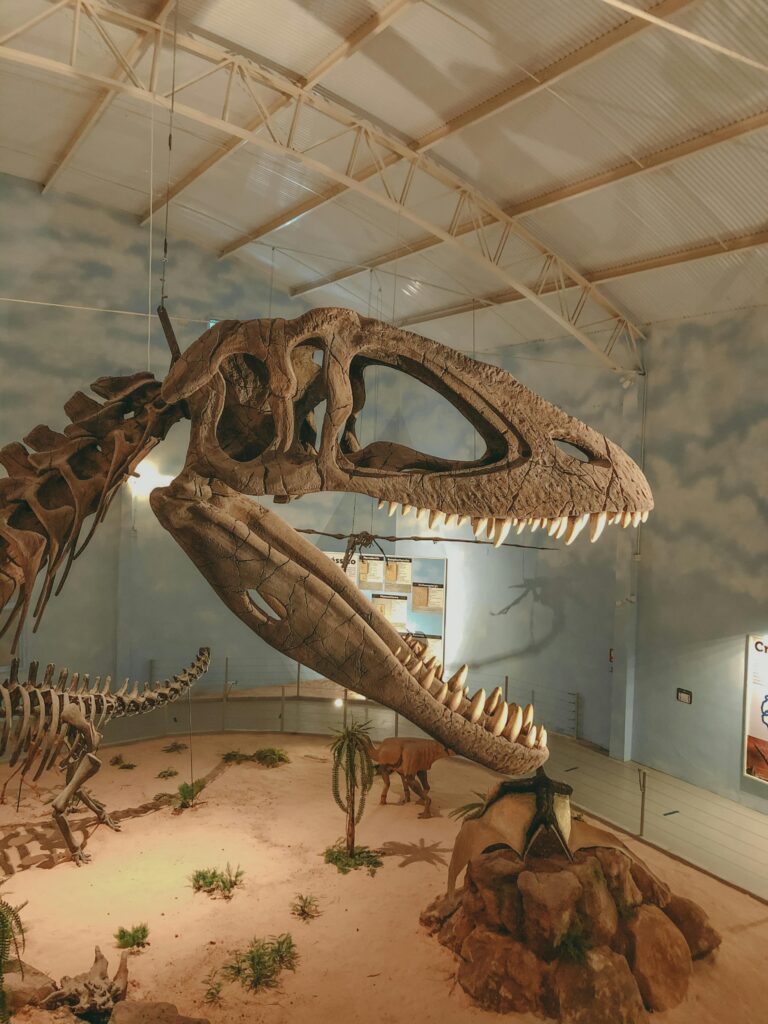 STEM-Paleontologist Day at the American Legion | Ontario Cares